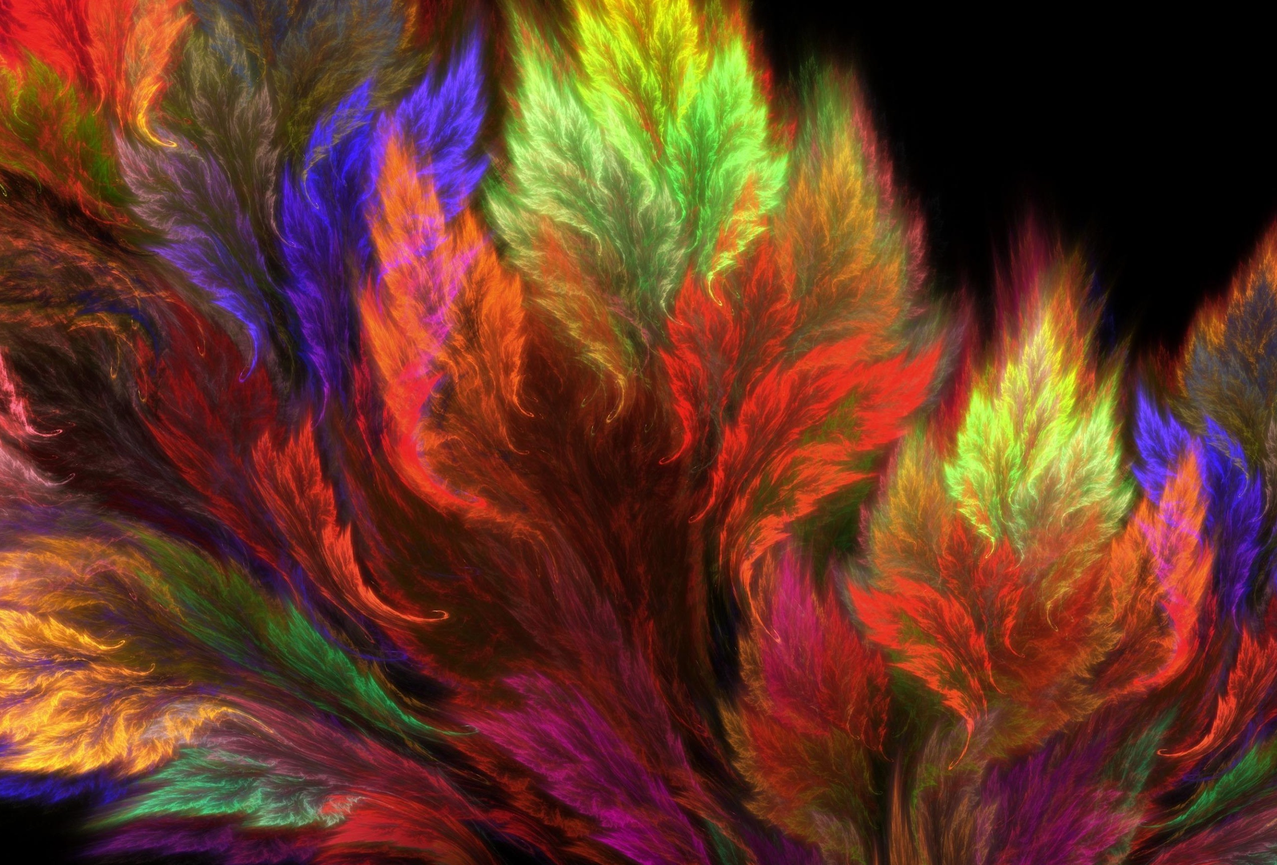 Models of Biological Self-Organization